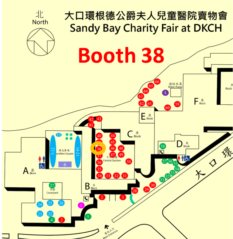 Sandy Bay Charity Fair at DKCH (16 Nov 2024)